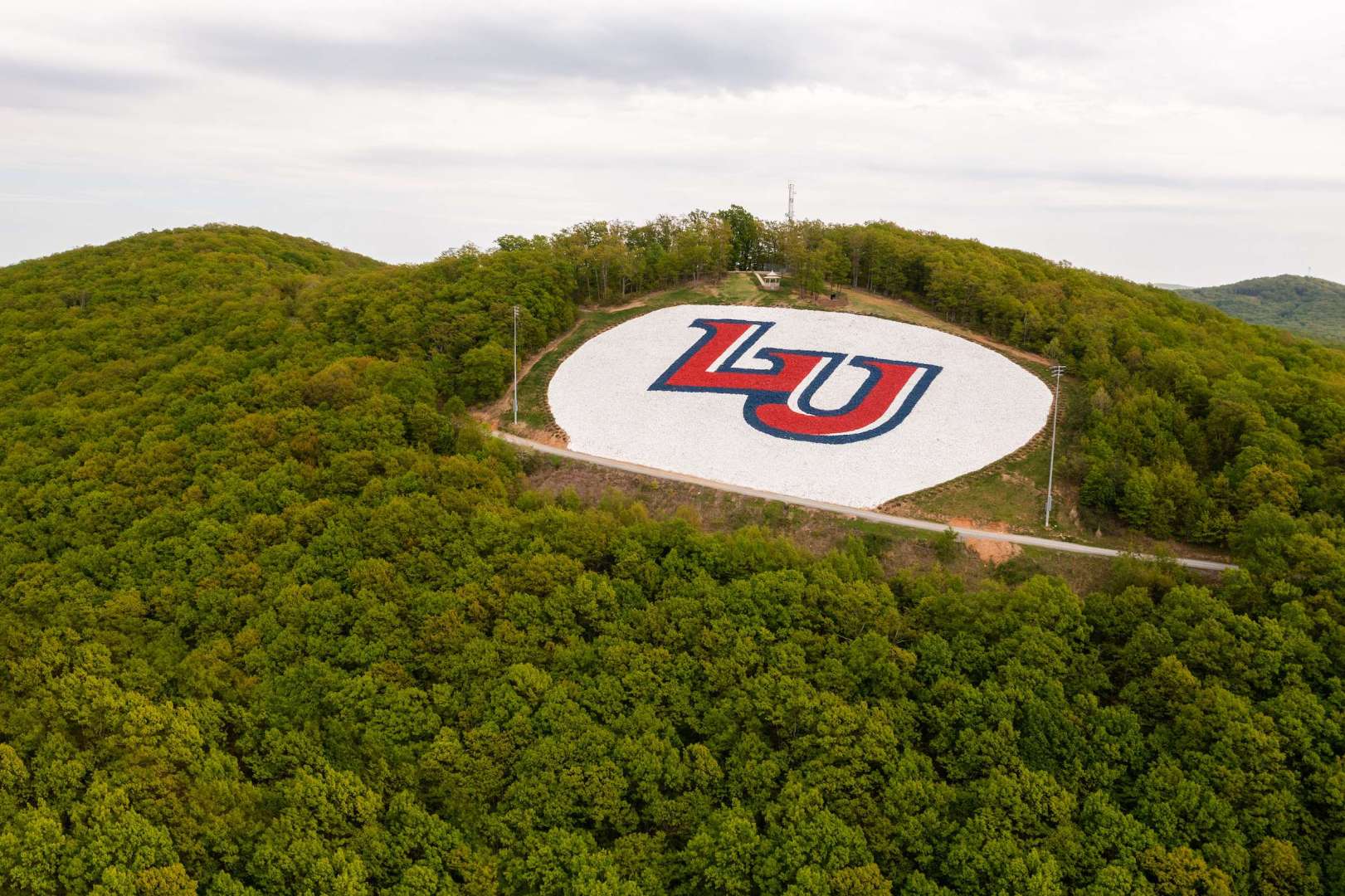 Promotion FAQ - Liberty University Online