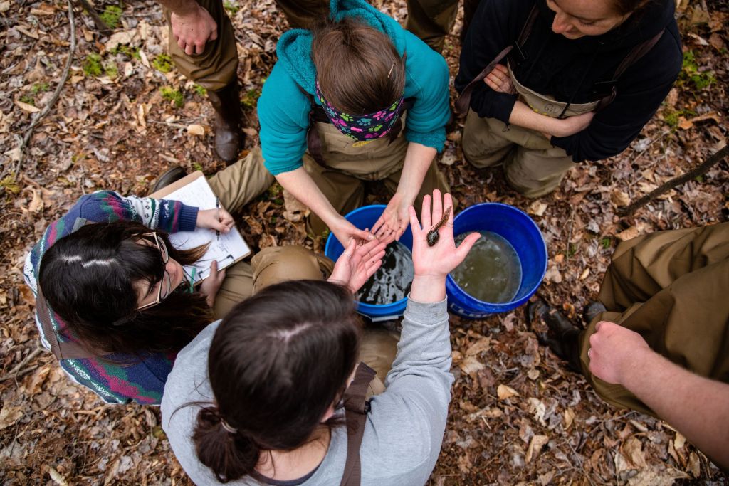 Bachelor of Science in Environmental Health and Safety | Liberty University