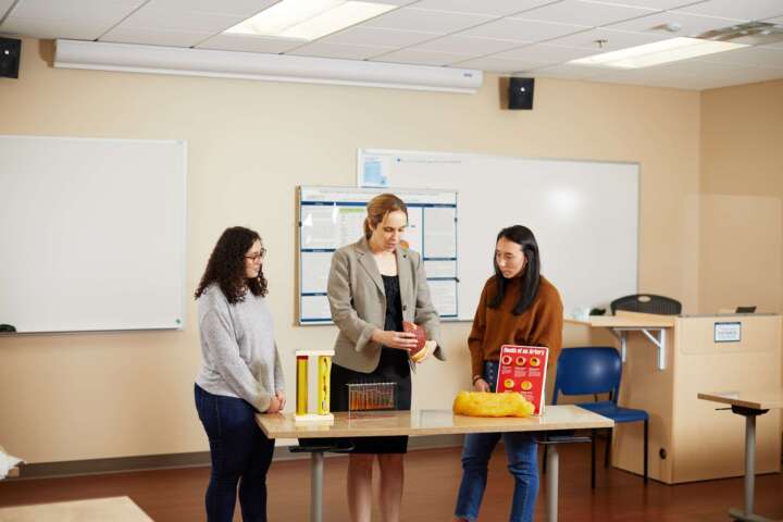 PhD in Health Sciences Online Program | Liberty University