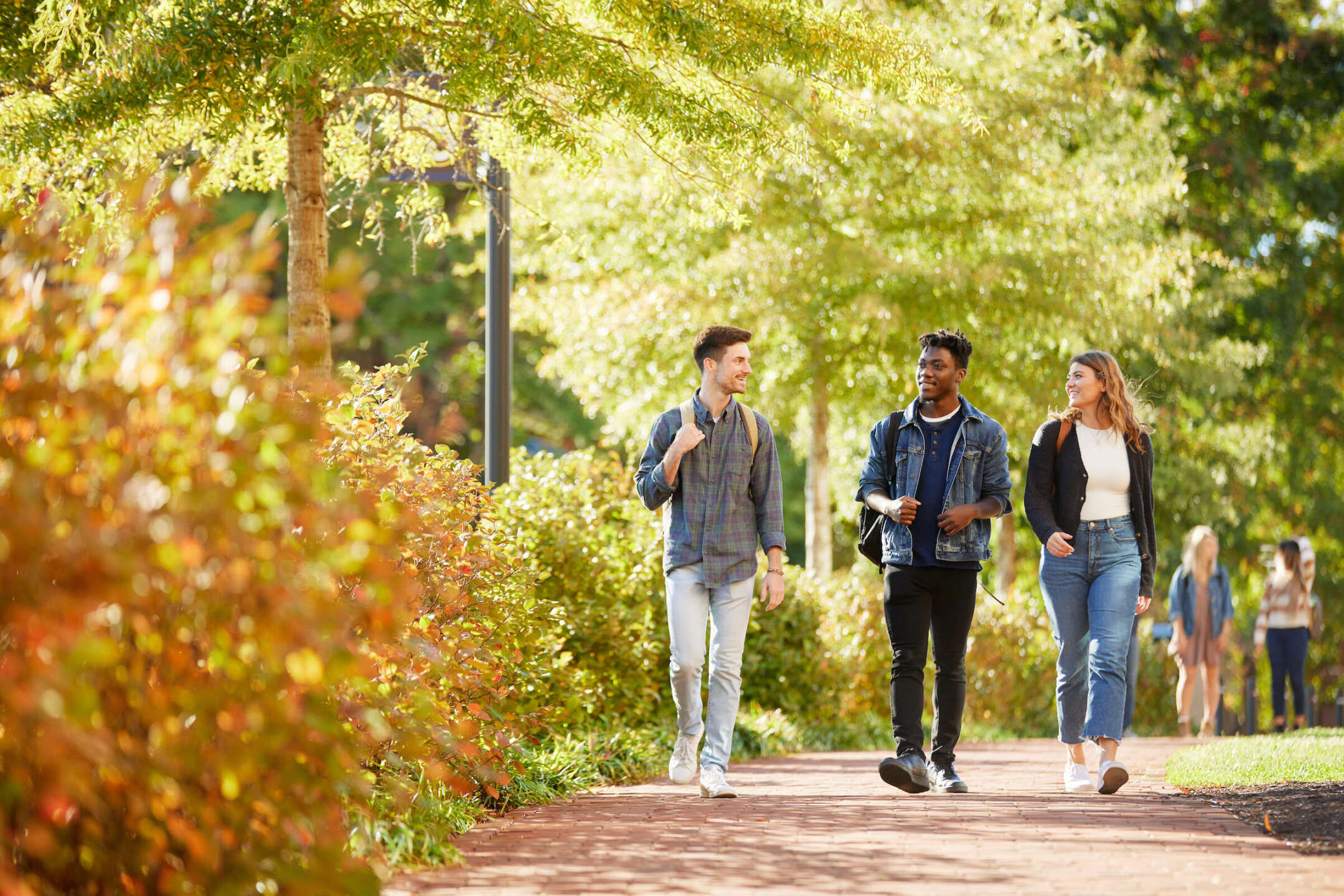 Becoming a Student | Liberty University Online Programs