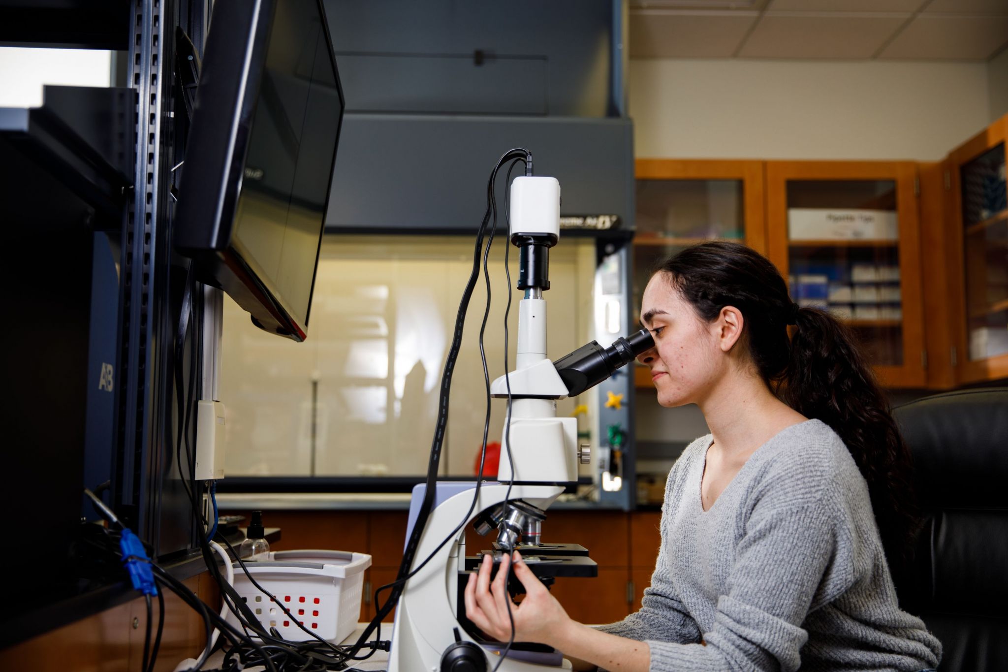 B.S. in Criminal Justice | Crime Scene Investigation | Liberty University