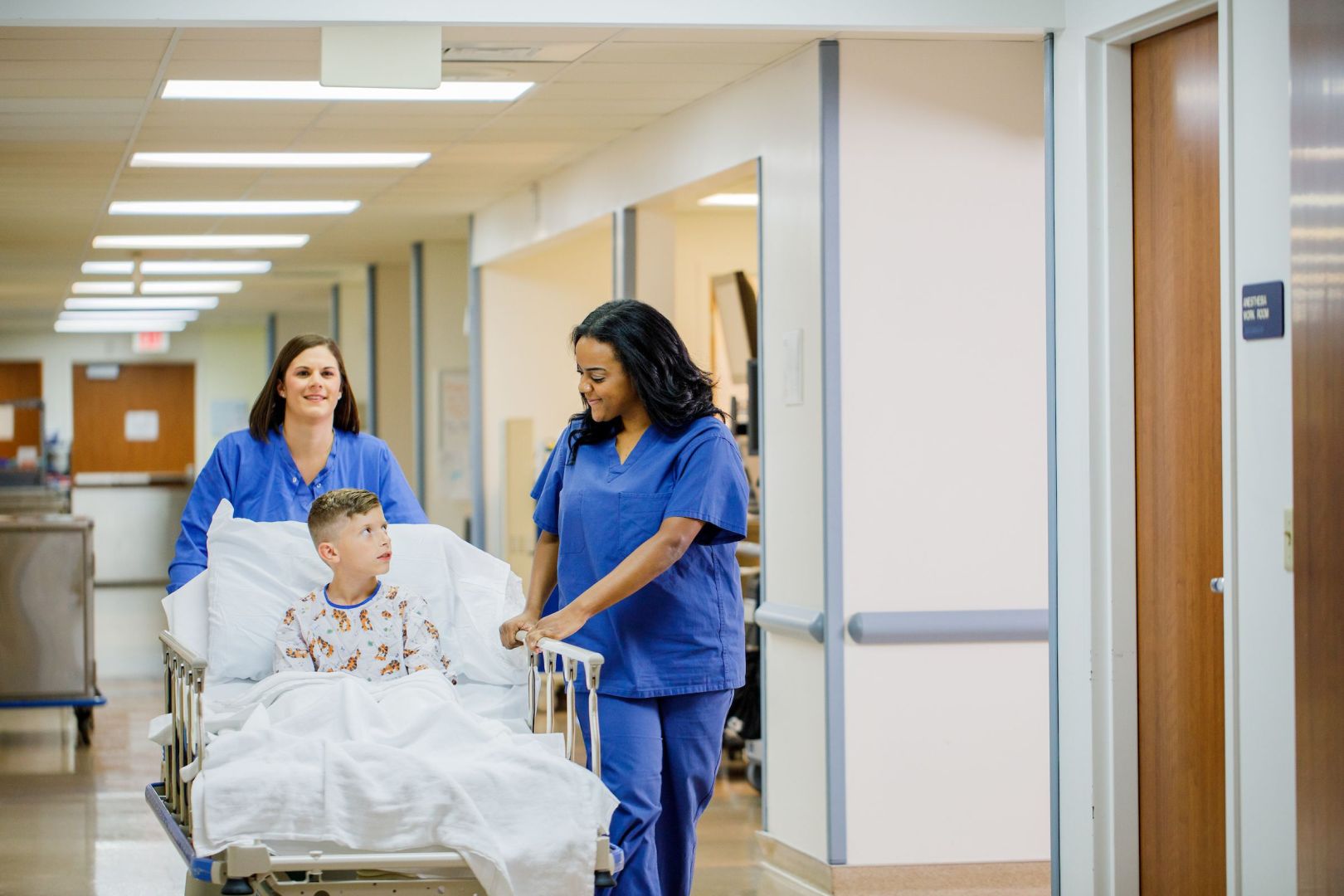 B.S. in Nursing (B.S.N.) Online for the Registered Nurse | Liberty ...