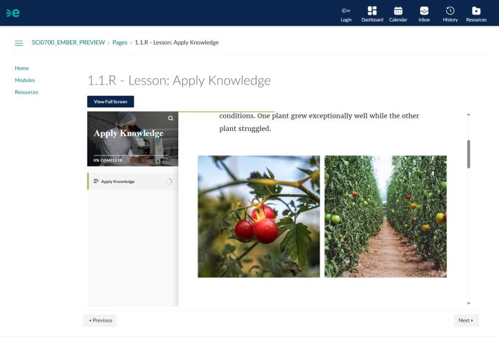 Ember | K-12 Curriculum | Liberty Online Academy