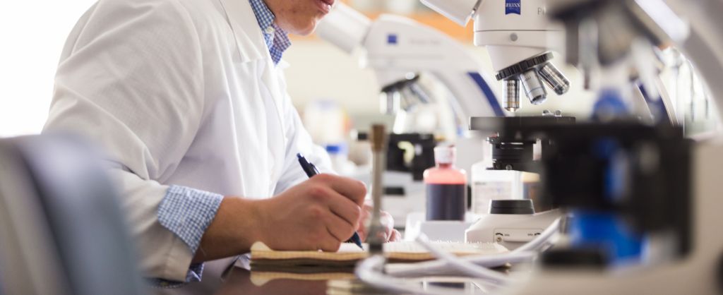 M.A. in Medical Sciences | Business Management | Liberty University