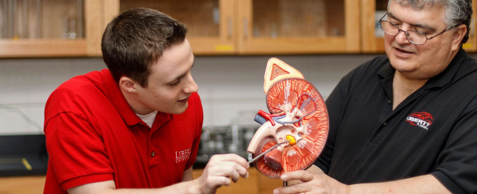 Online Undergraduate Certificate in Health Sciences | Liberty University