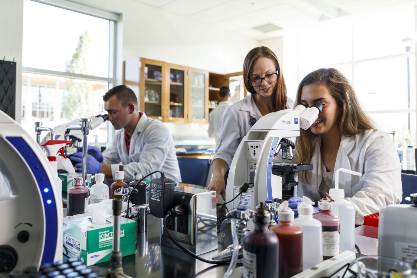 Bachelor’s Degree in Biotechnology | Liberty University