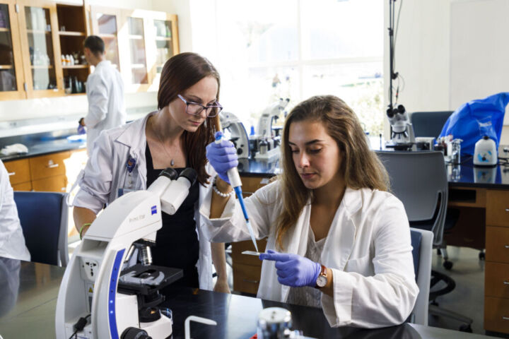 Doctorate in Anatomy and Cell Biology | Biology PhD | Liberty University