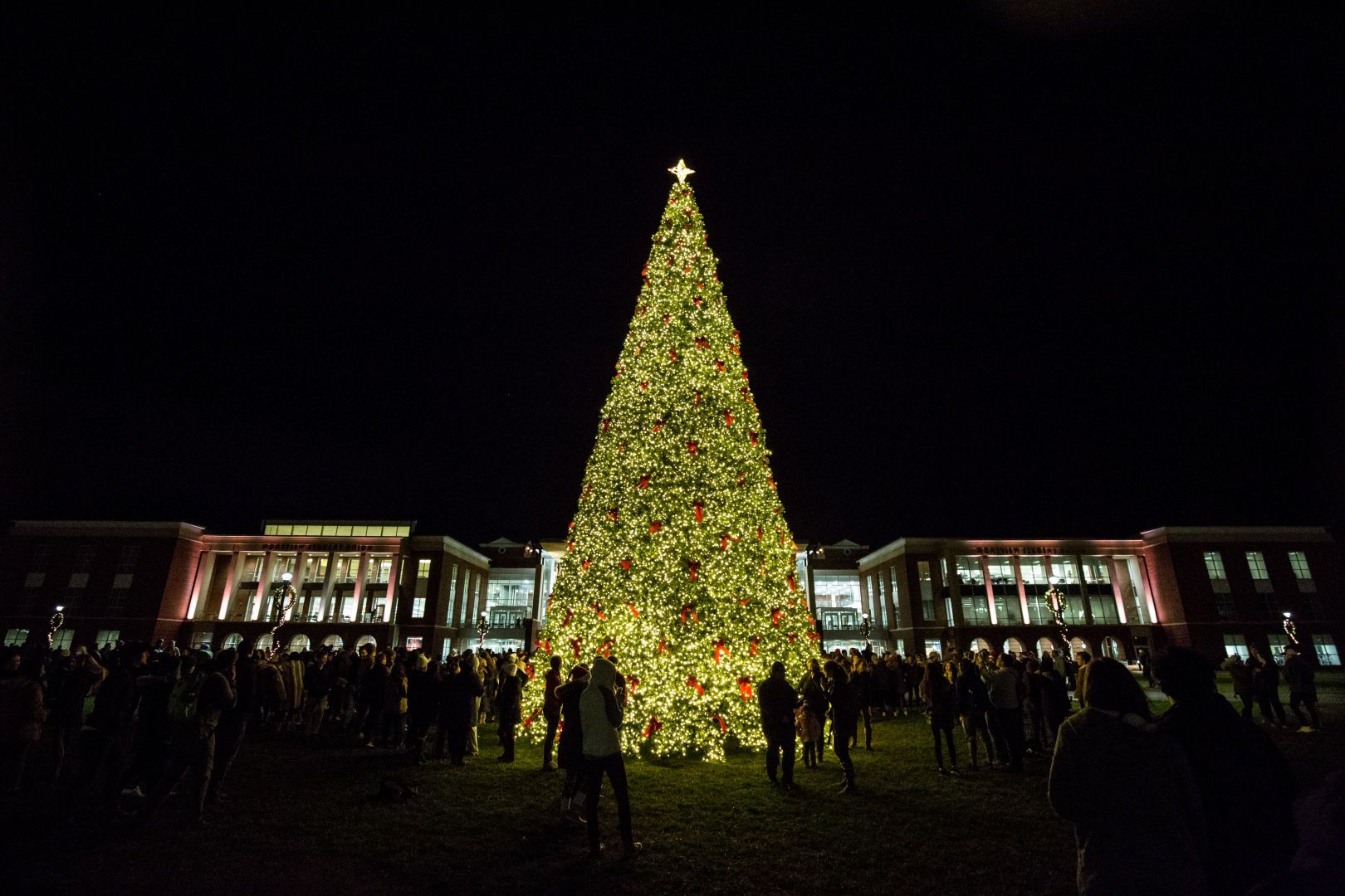 Rocking Around the Campus Tree - Student Blog - Liberty University ...